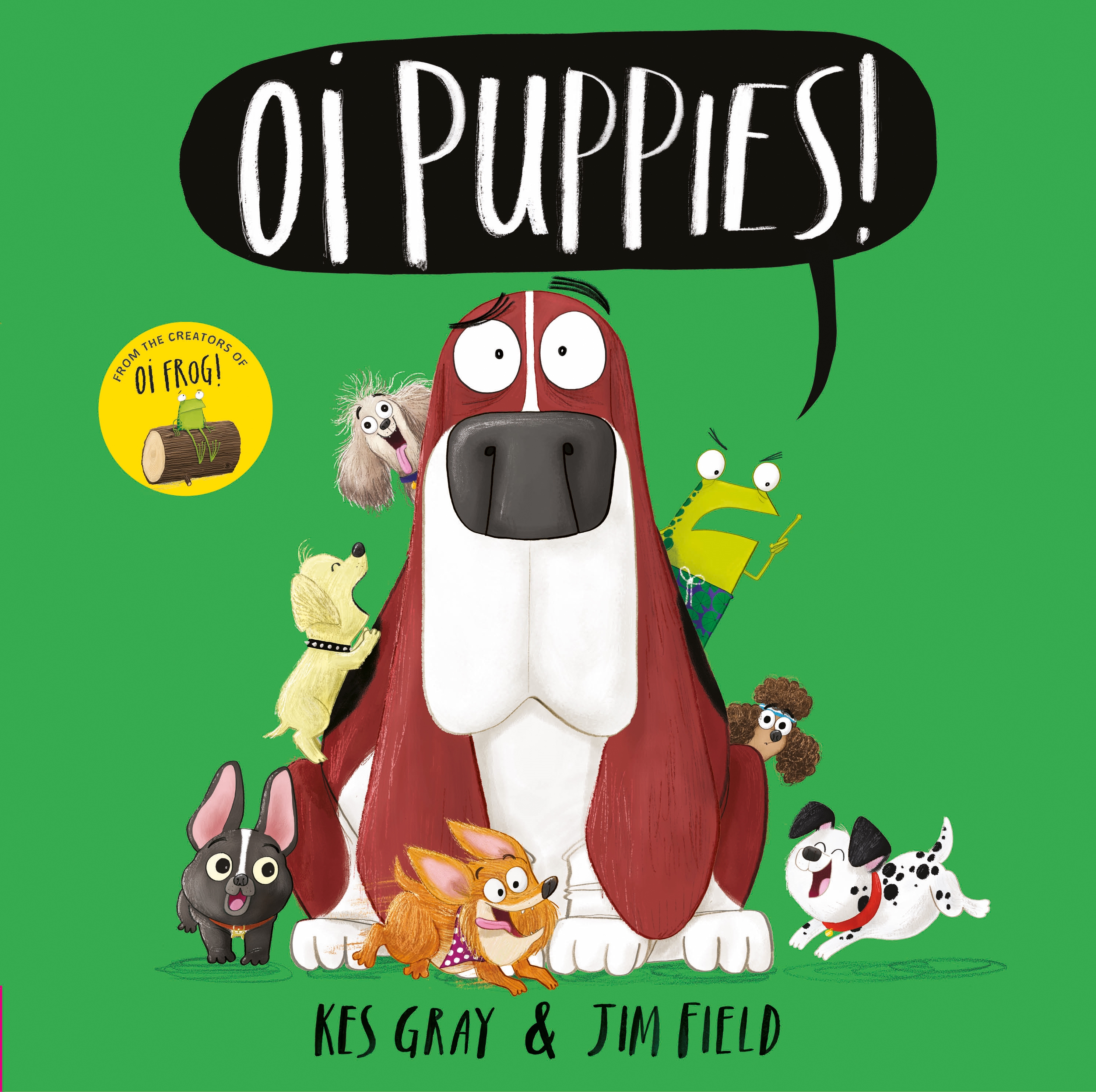 Oi Frog and Friends Learning Resources and Activities | Hachette UK