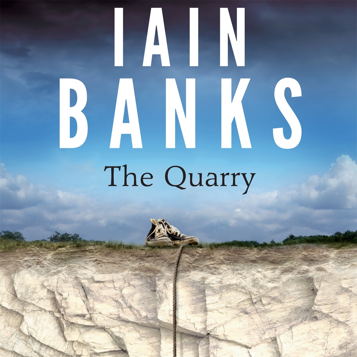 The Quarry by Iain Banks | Hachette UK