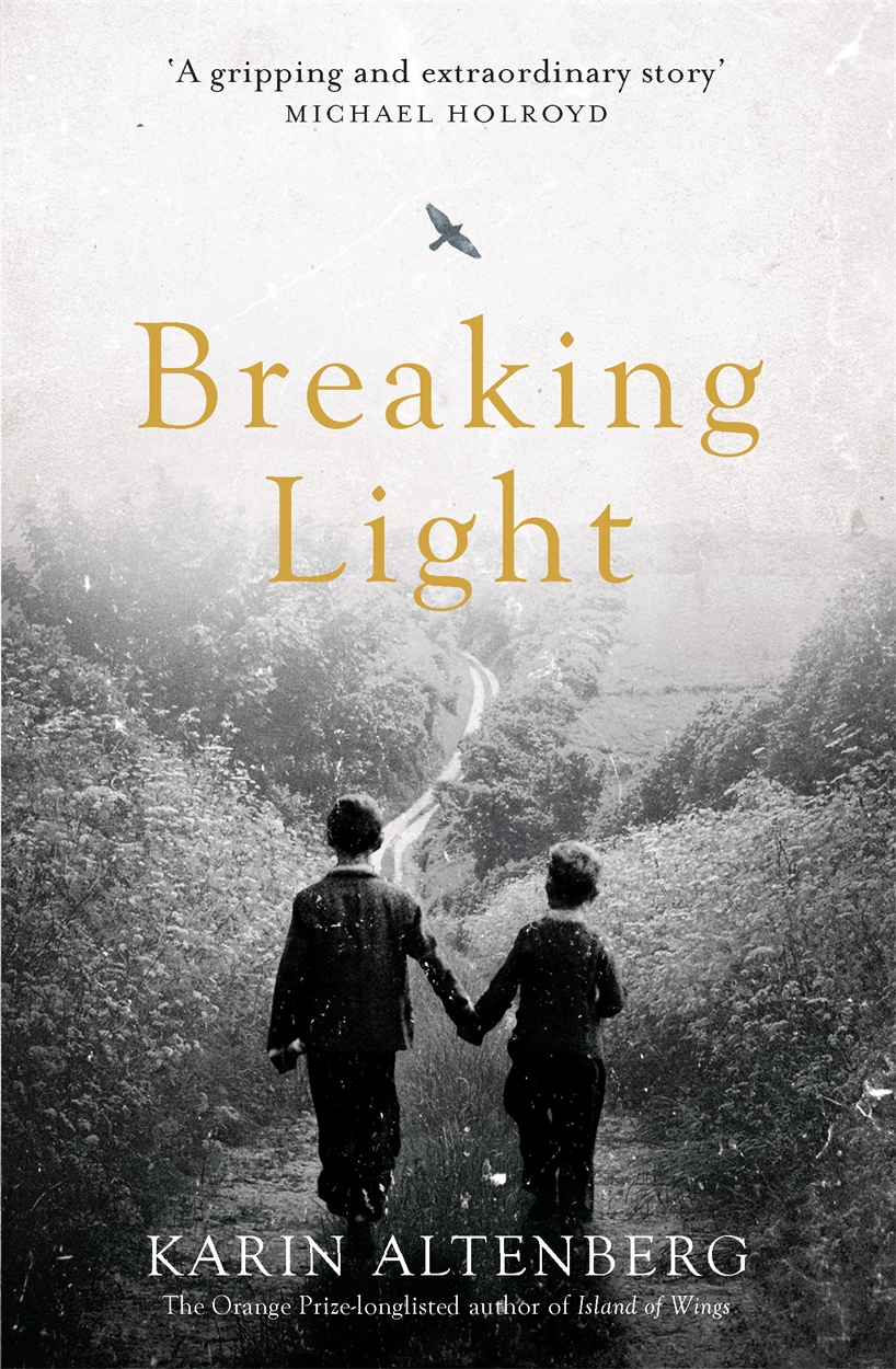 Breaking Light by Karin Altenberg | Hachette UK