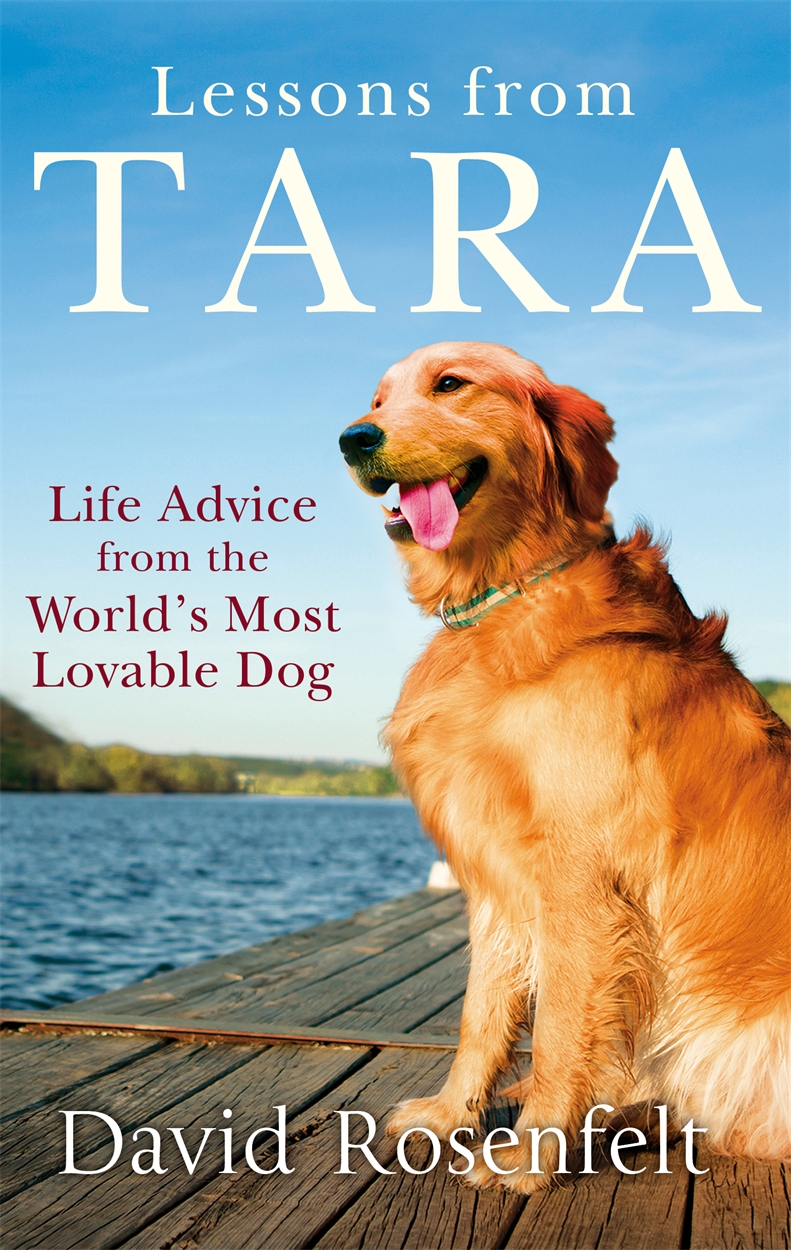 Lessons from Tara by David Rosenfelt | Hachette UK