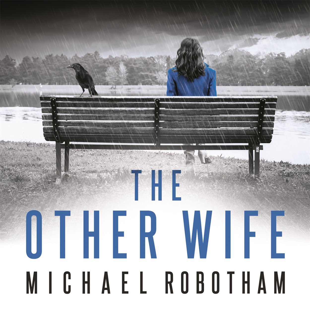 The Other Wife by Michael Robotham | Hachette UK