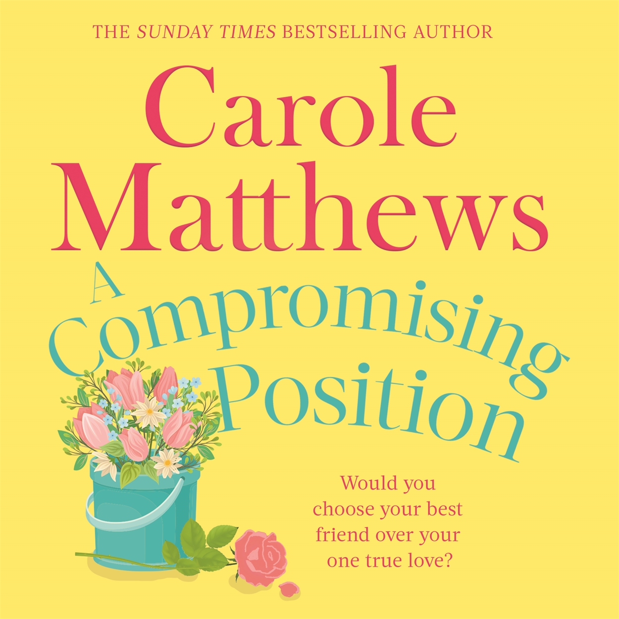 A Compromising Position by Carole Matthews | Hachette UK