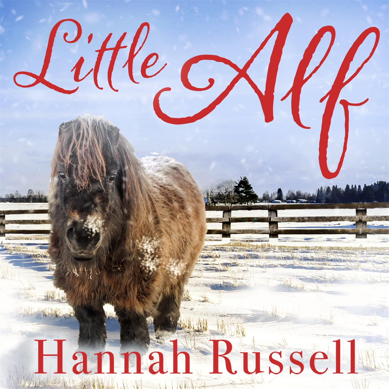 Little Alf by Katy Sobey | Hachette UK