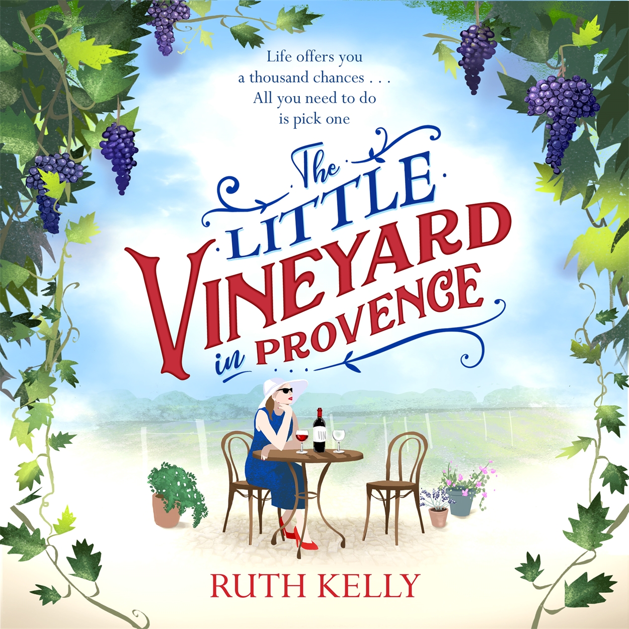 The Little Vineyard in Provence by Karen Cass | Hachette UK