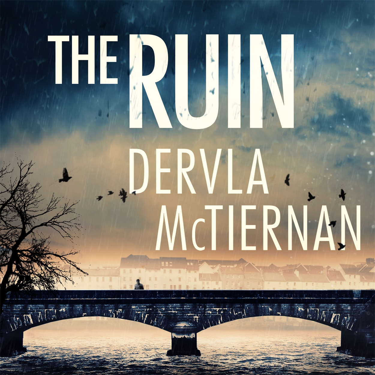 The Ruin by Dervla McTiernan | Hachette UK
