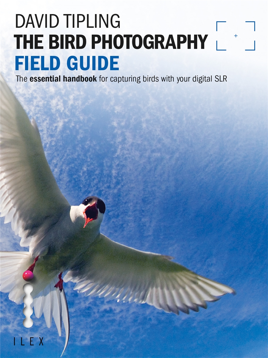 The Bird Photography Field Guide by David Tipling | Hachette UK
