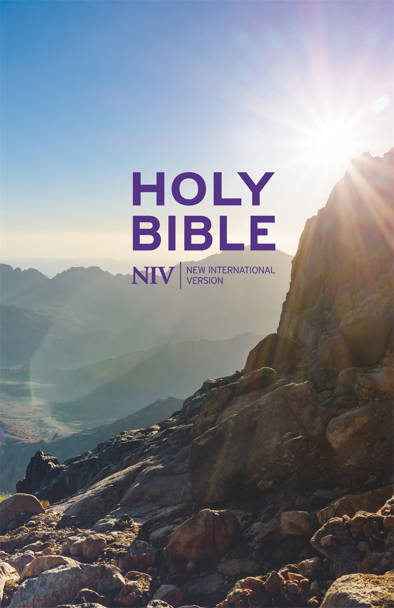NIV Thinline Value Hardback Bible by New International Version ...