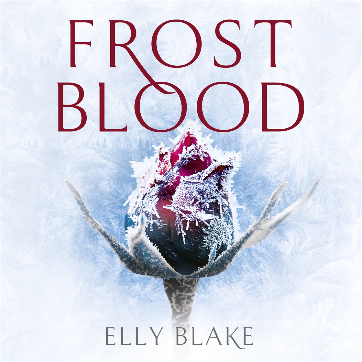 Frostblood by Elly Blake | Hachette UK