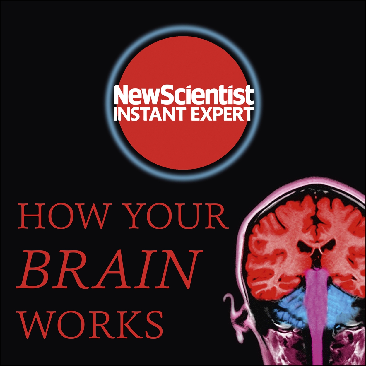 How Your Brain Works by Mark Elstob | Hachette UK