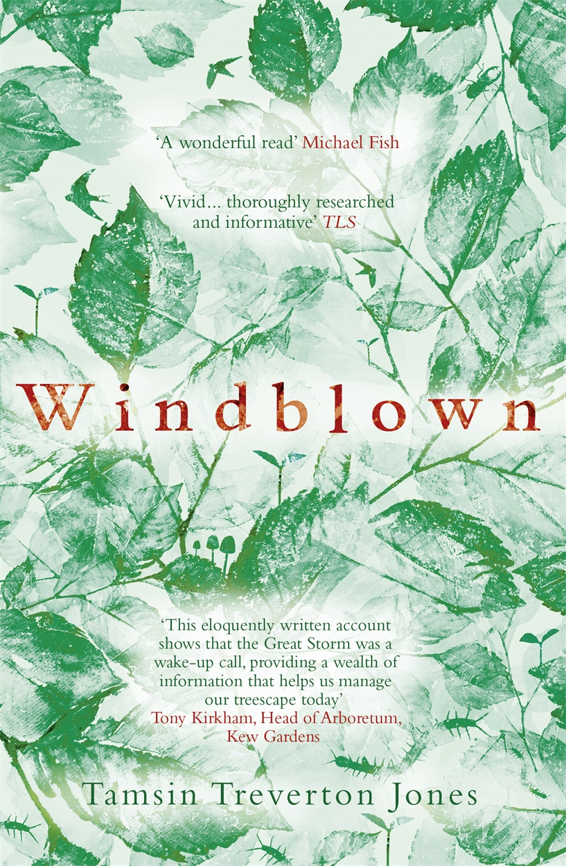 Windblown by Tamsin Treverton Jones | Hachette UK