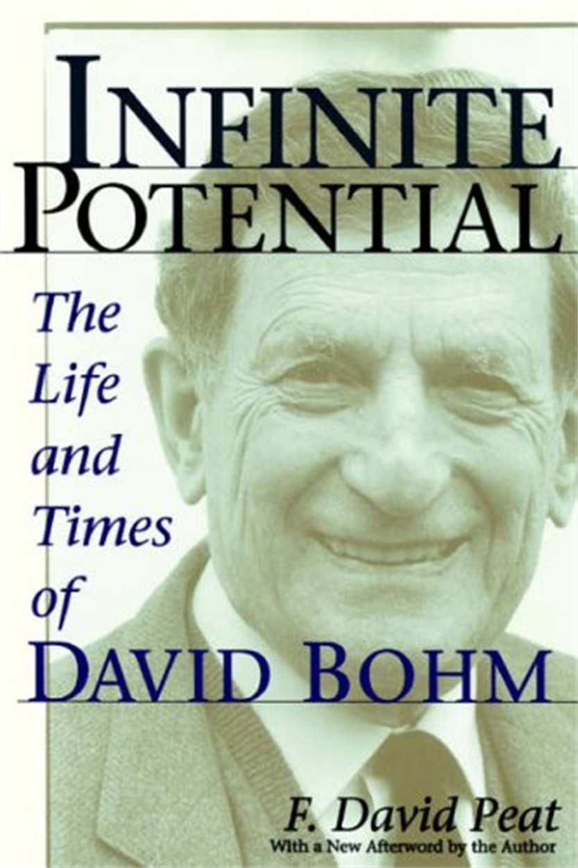 Infinite Potential by F. David Peat | Hachette UK