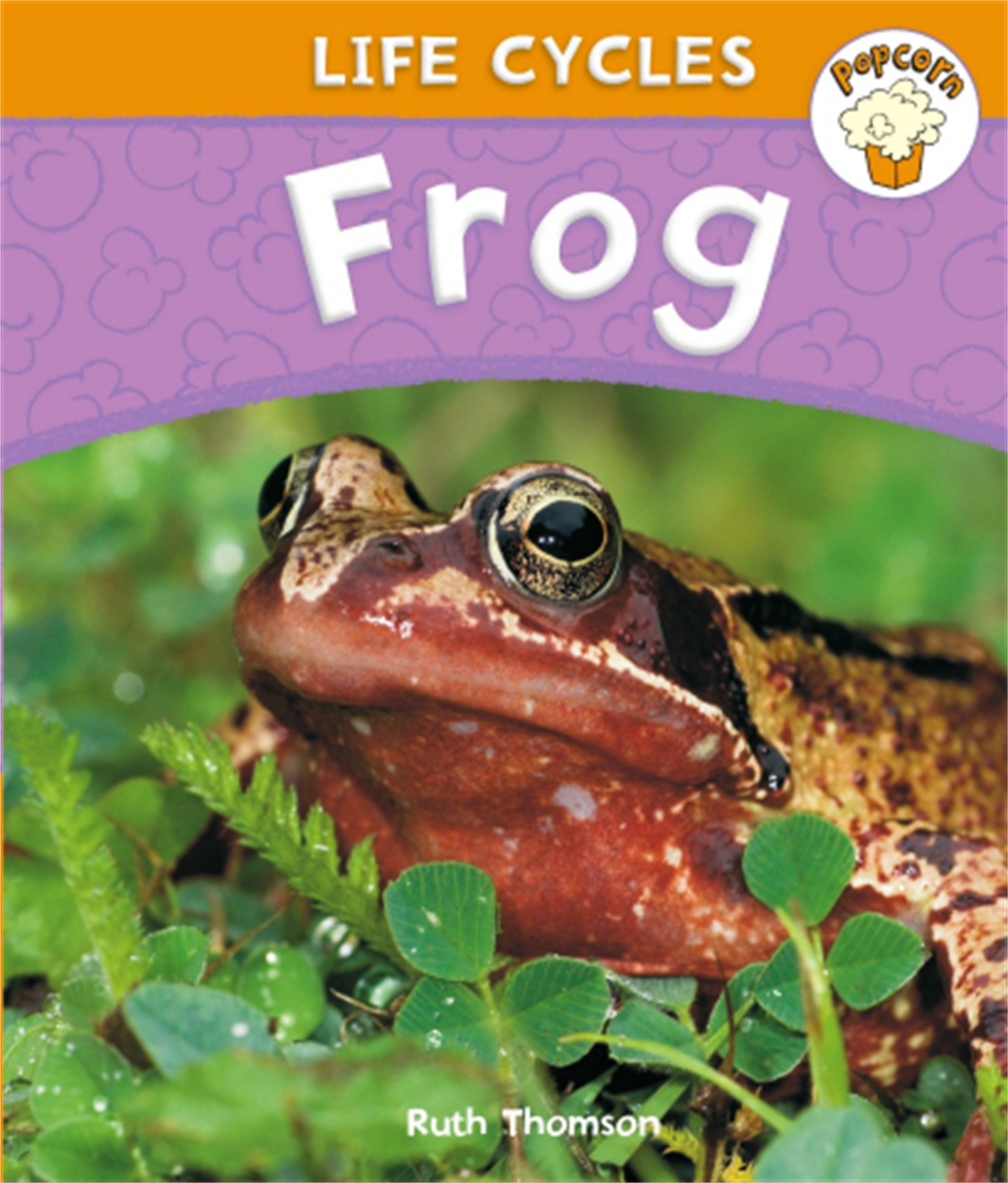 Popcorn: Life Cycles: Frog by Ruth Thomson | Hachette UK