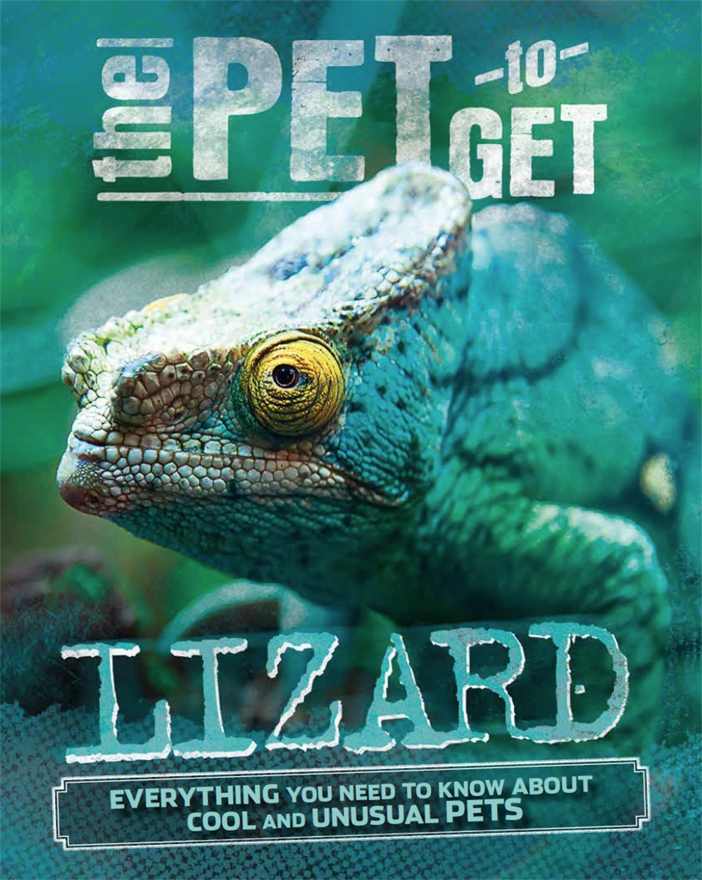 The Pet to Get: Lizard by Rob Colson | Hachette UK