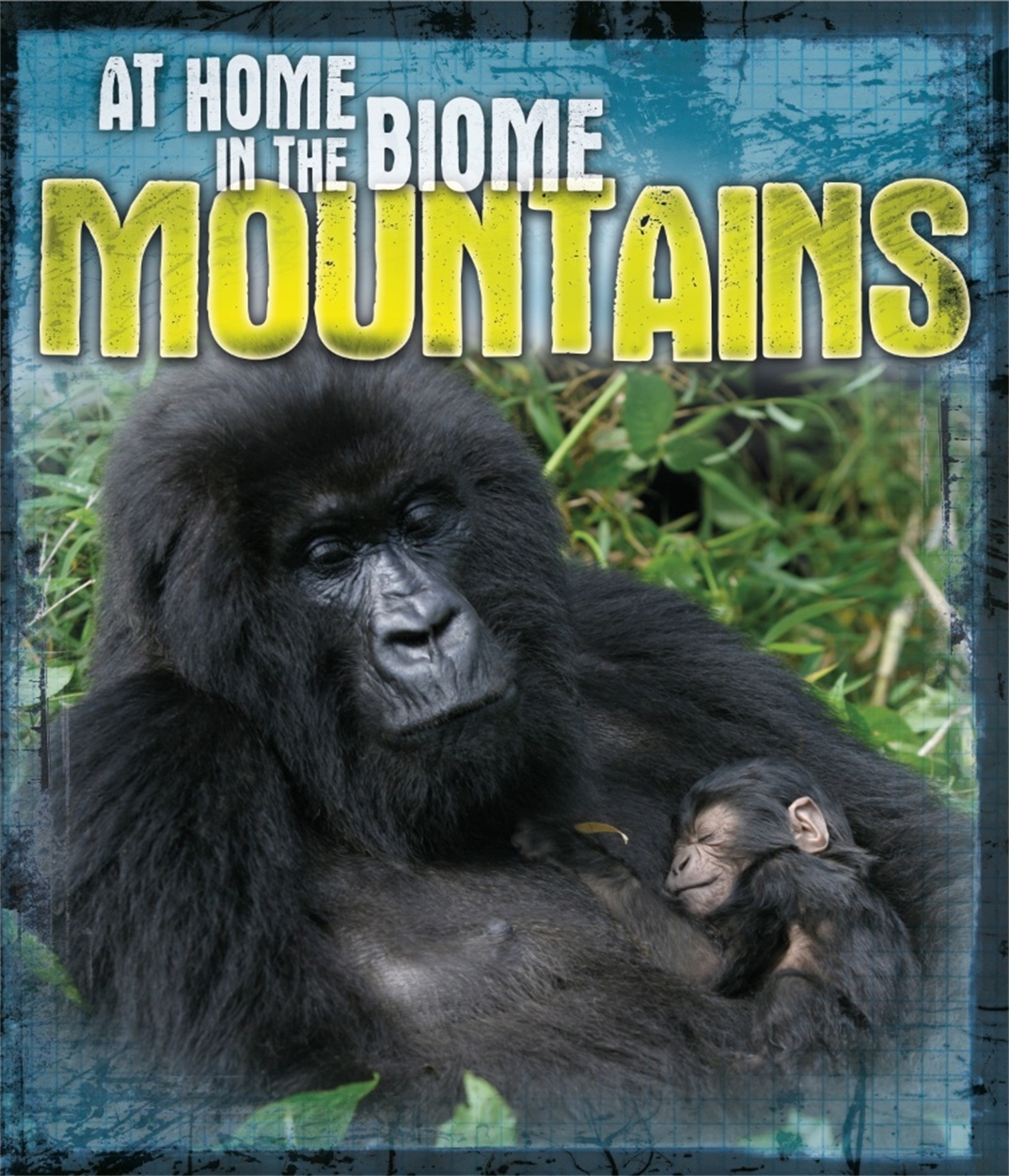 At Home in the Biome: Mountains by Richard Spilsbury | Hachette UK