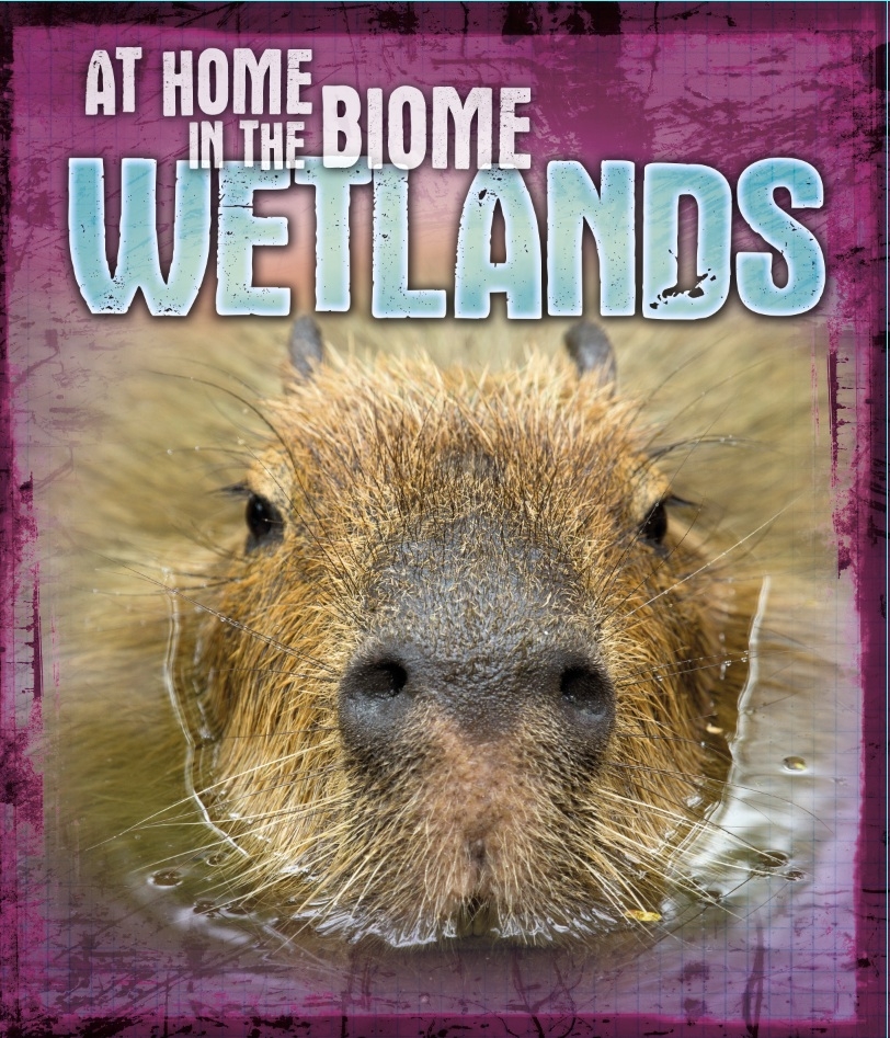 At Home in the Biome: Wetlands by Richard Spilsbury | Hachette UK
