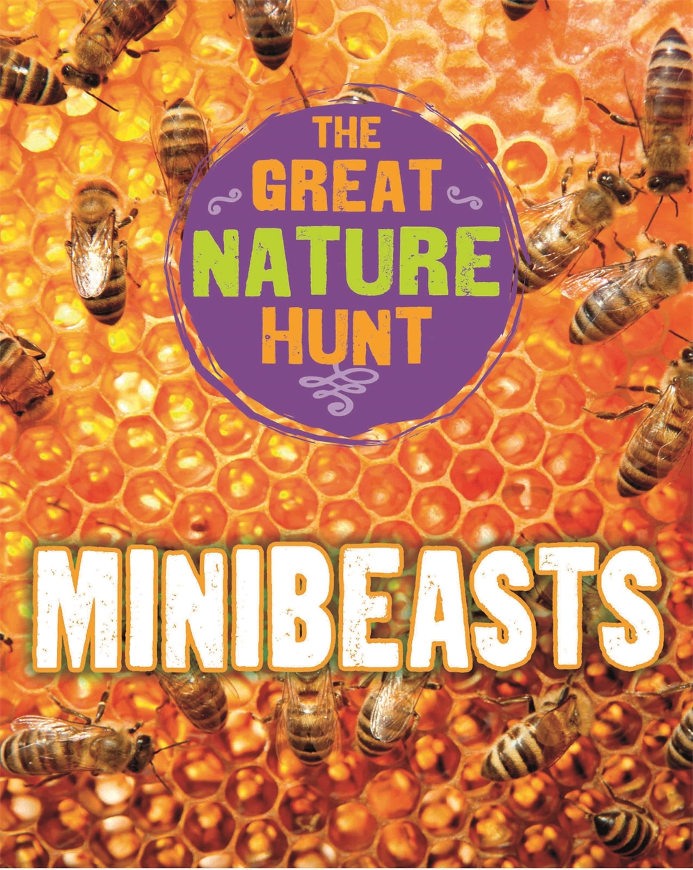 The Great Nature Hunt: Minibeasts by Cath Senker | Hachette UK