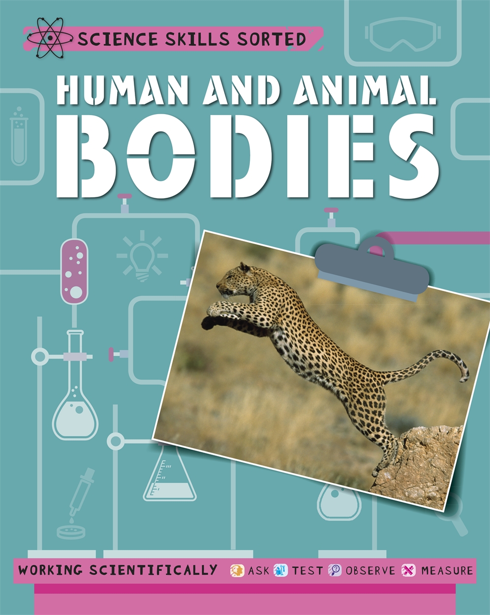 Science Skills Sorted!: Human and Animal Bodies by Angela Royston ...