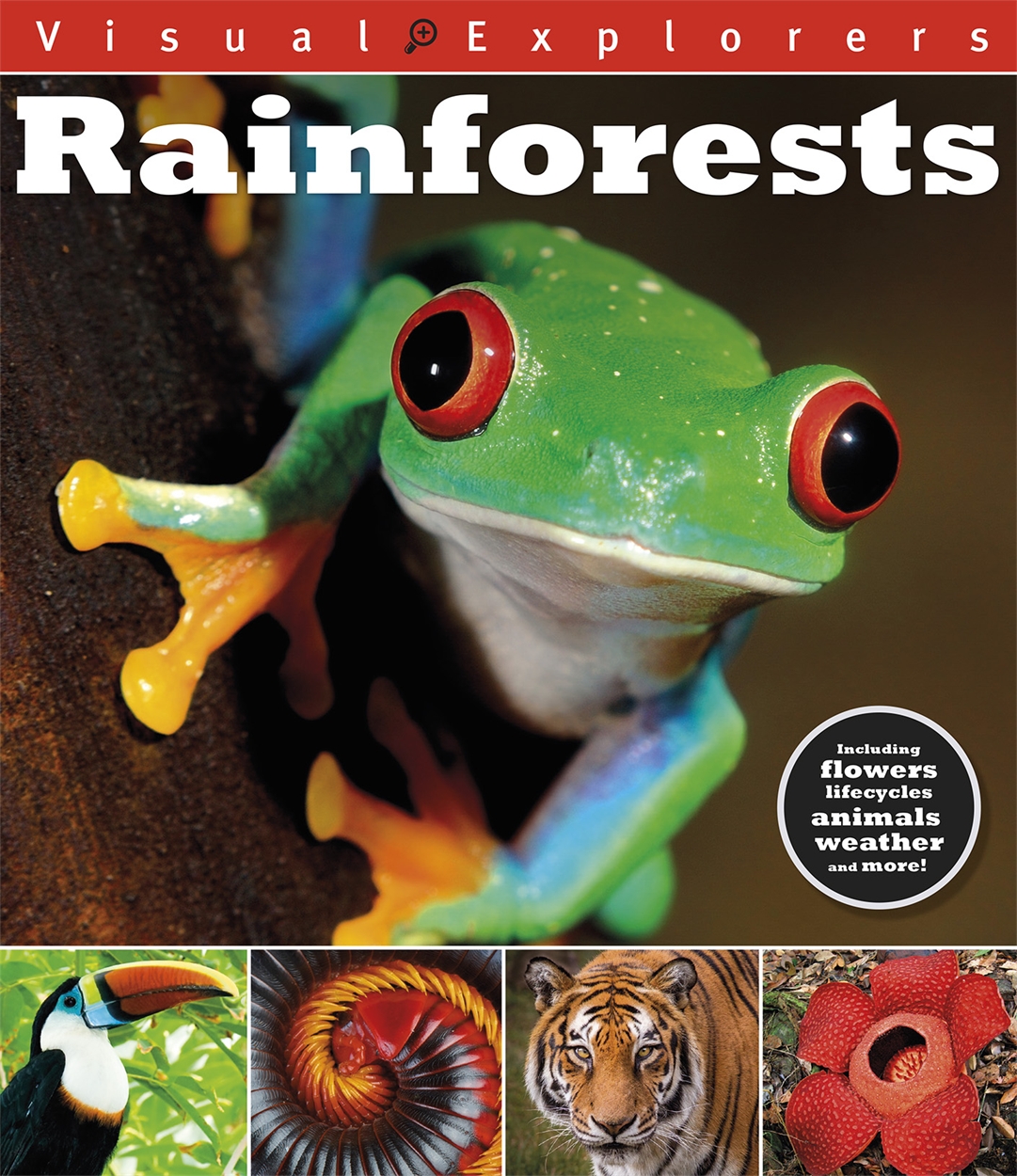 Visual Explorers: Rainforests by Toby Reynolds | Hachette UK