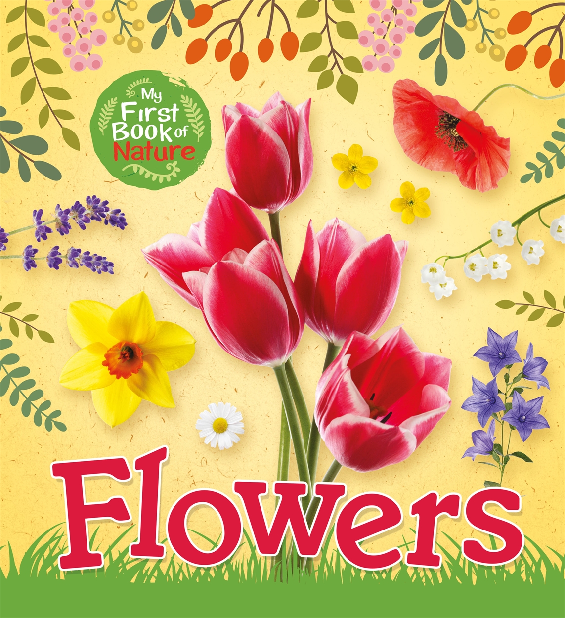 My First Book of Nature: Flowers by Victoria Munson | Hachette UK