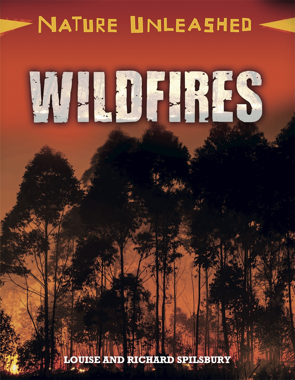 Nature Unleashed: Wildfires by Louise Spilsbury | Hachette UK
