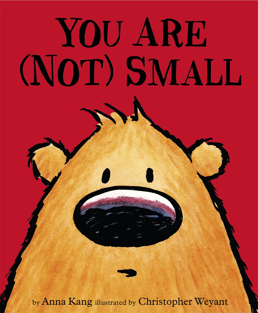 You Are Not Small by Anna Kang | Hachette UK
