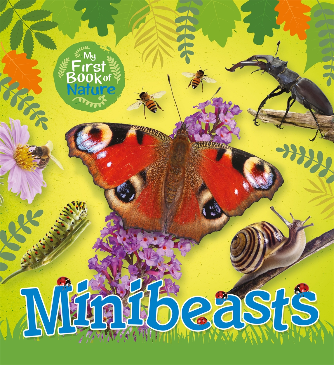 My First Book of Nature: Minibeasts by Victoria Munson | Hachette UK