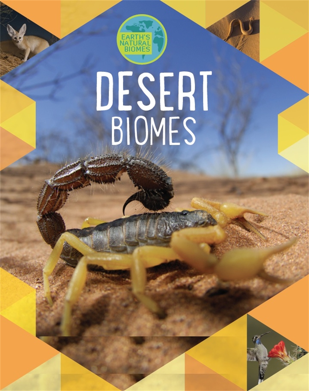 Earth’s Natural Biomes: Deserts by Louise Spilsbury | Hachette UK