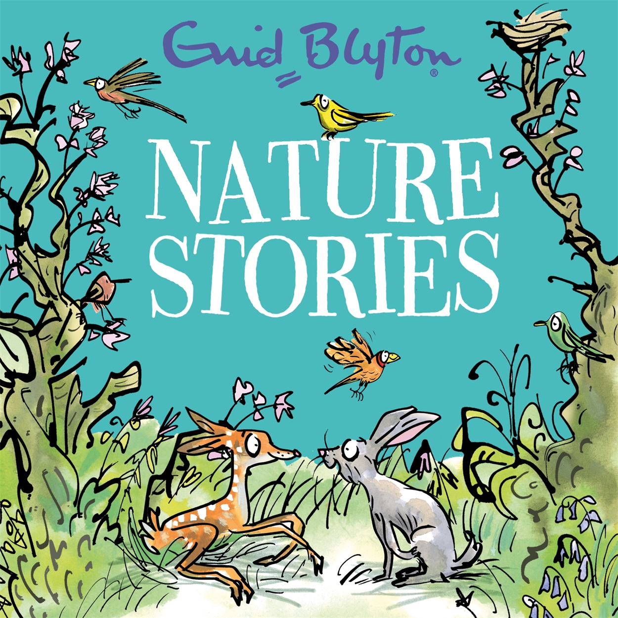 Nature Stories by Enid Blyton | Hachette UK