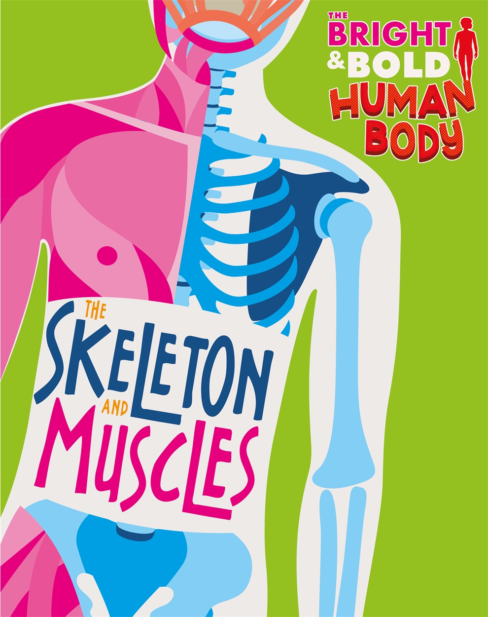 The Bright and Bold Human Body: The Skeleton and Muscles by Sonya ...