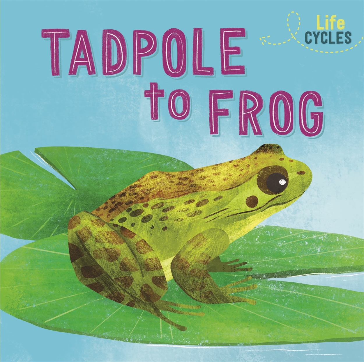 Life Cycles: From Tadpole to Frog by Rachel Tonkin | Hachette UK