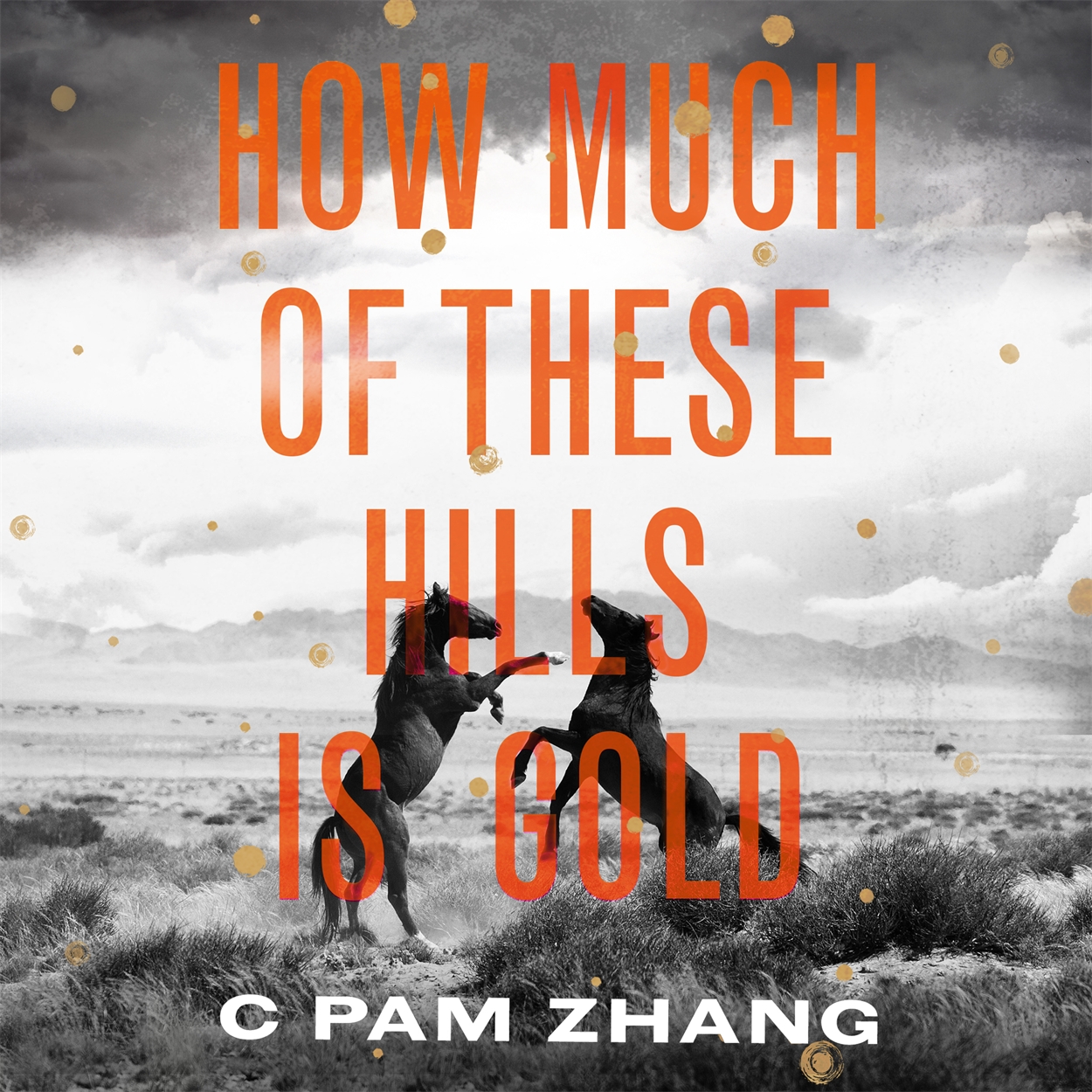 How Much of These Hills is Gold by C Pam Zhang | Hachette UK