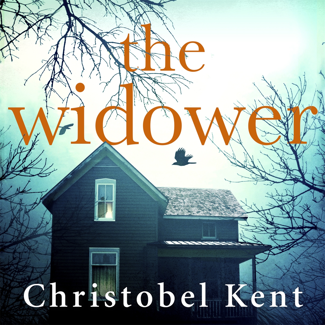 The Widower by Christobel Kent | Hachette UK