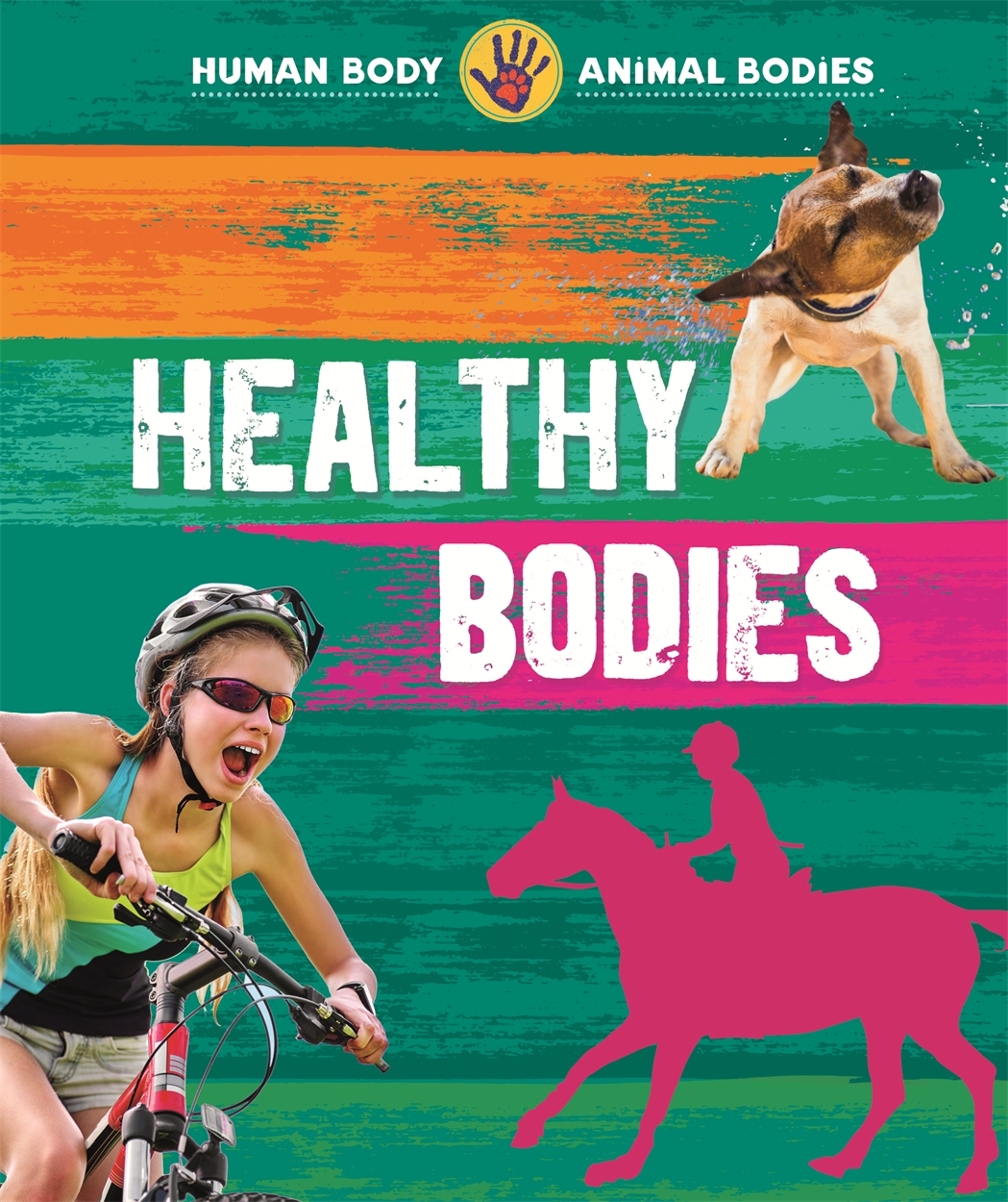 Human Body, Animal Bodies: Healthy Bodies by Izzi Howell | Hachette UK