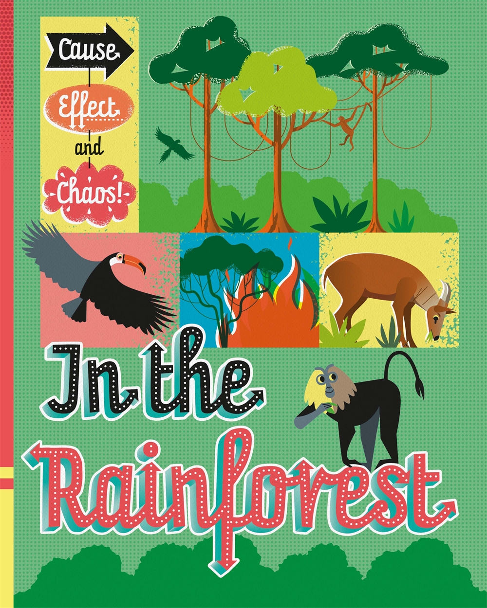 Cause, Effect and Chaos!: In the Rainforest by Paul Mason | Hachette UK