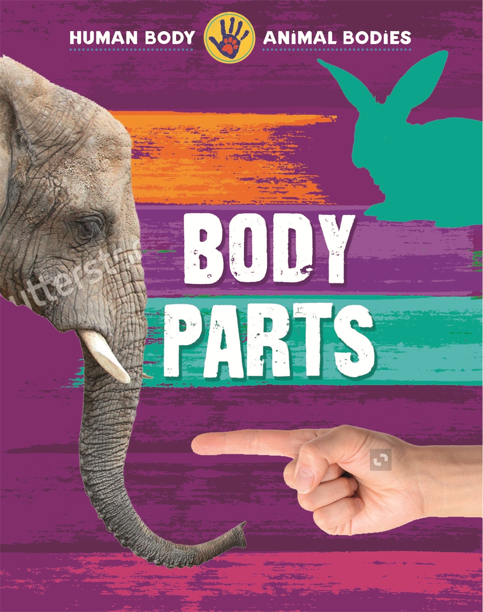 Human Body, Animal Bodies: Body Parts by Izzi Howell | Hachette UK