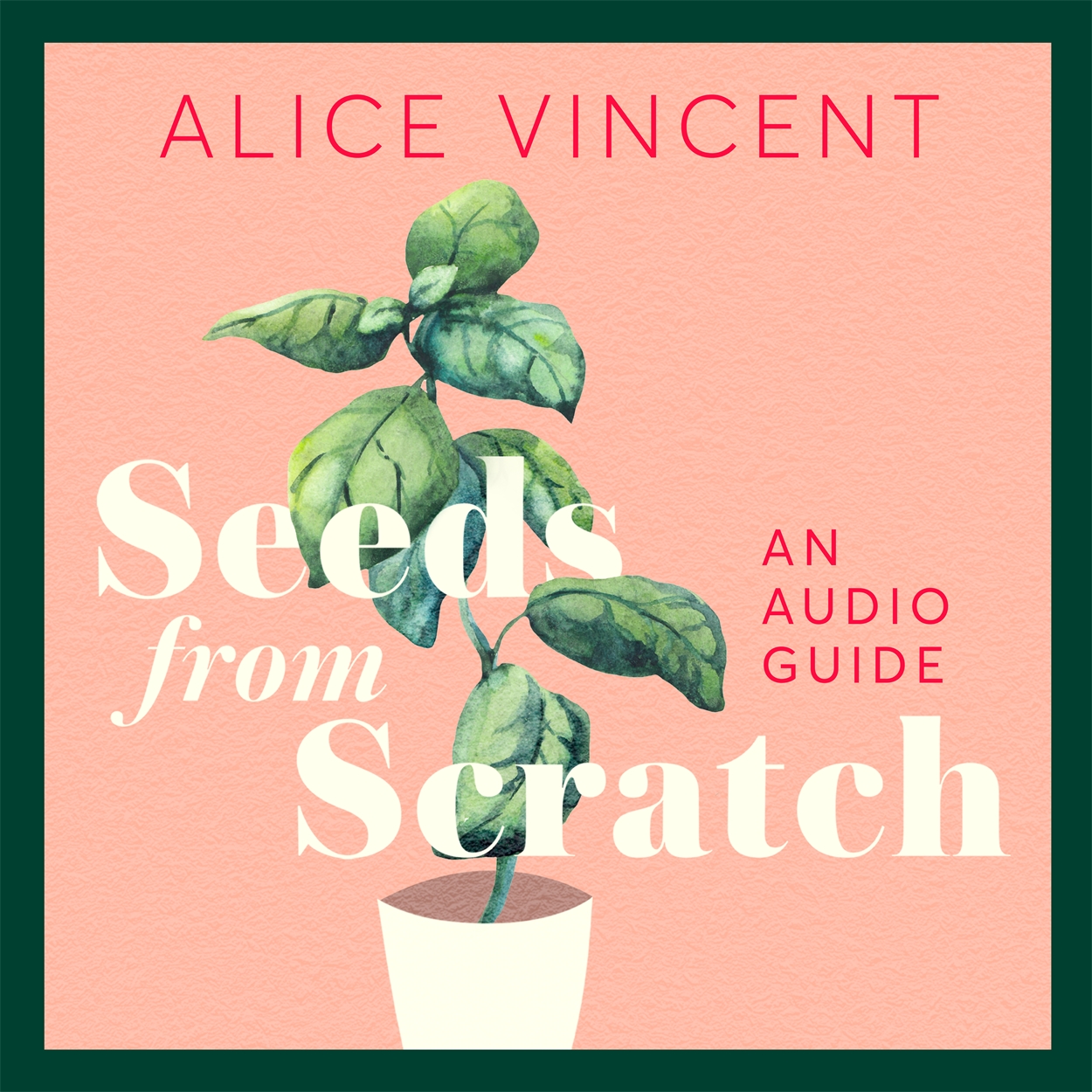 Seeds from Scratch by Alice Vincent | Hachette UK