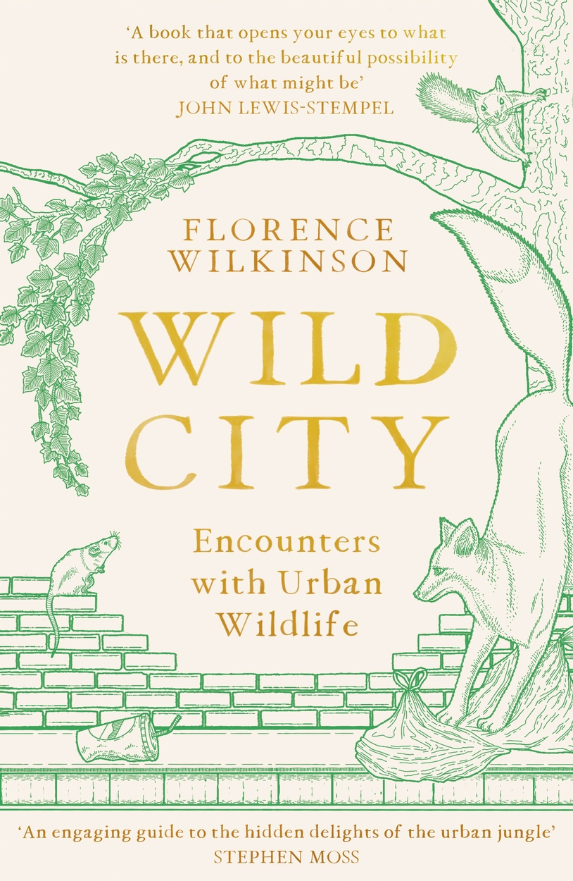 Wild City by Florence Wilkinson | Hachette UK