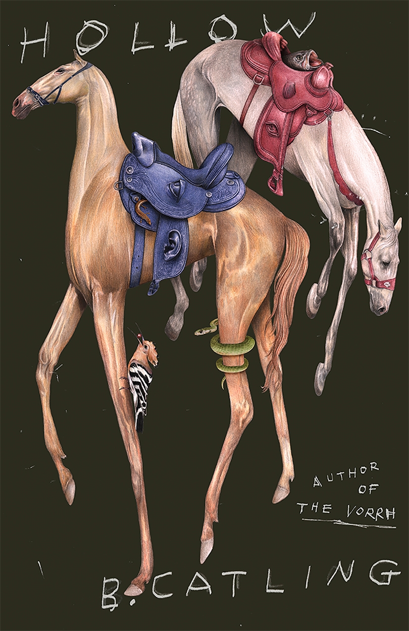 Hollow by Brian Catling | Hachette UK