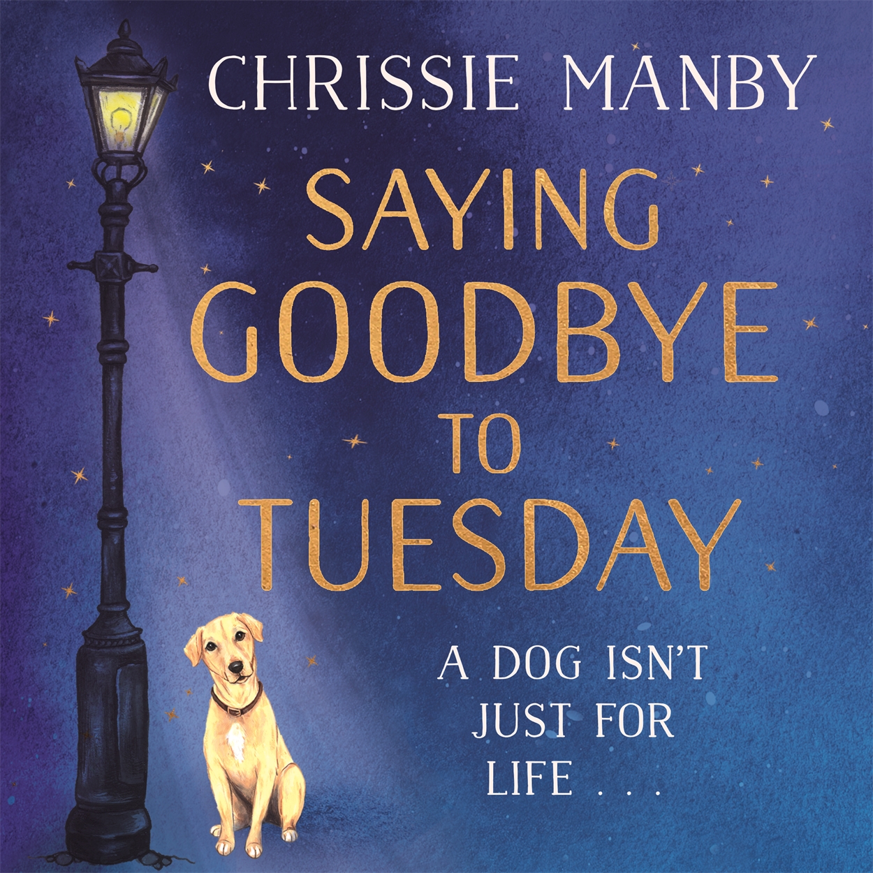 Saying Goodbye to Tuesday by Chrissie Manby | Hachette UK