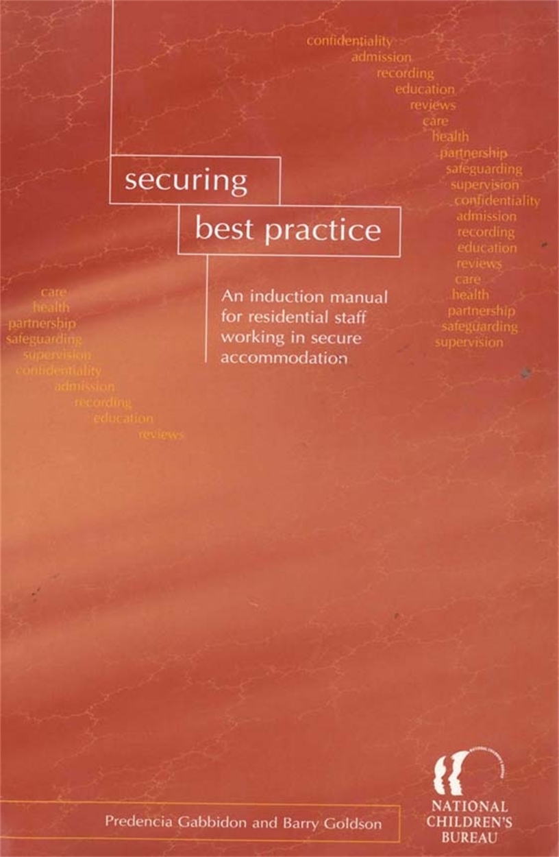 Securing Best Practice by Barry Goldson | Hachette UK