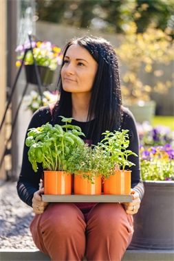 Michelle Evans-Fecci | Hachette UK