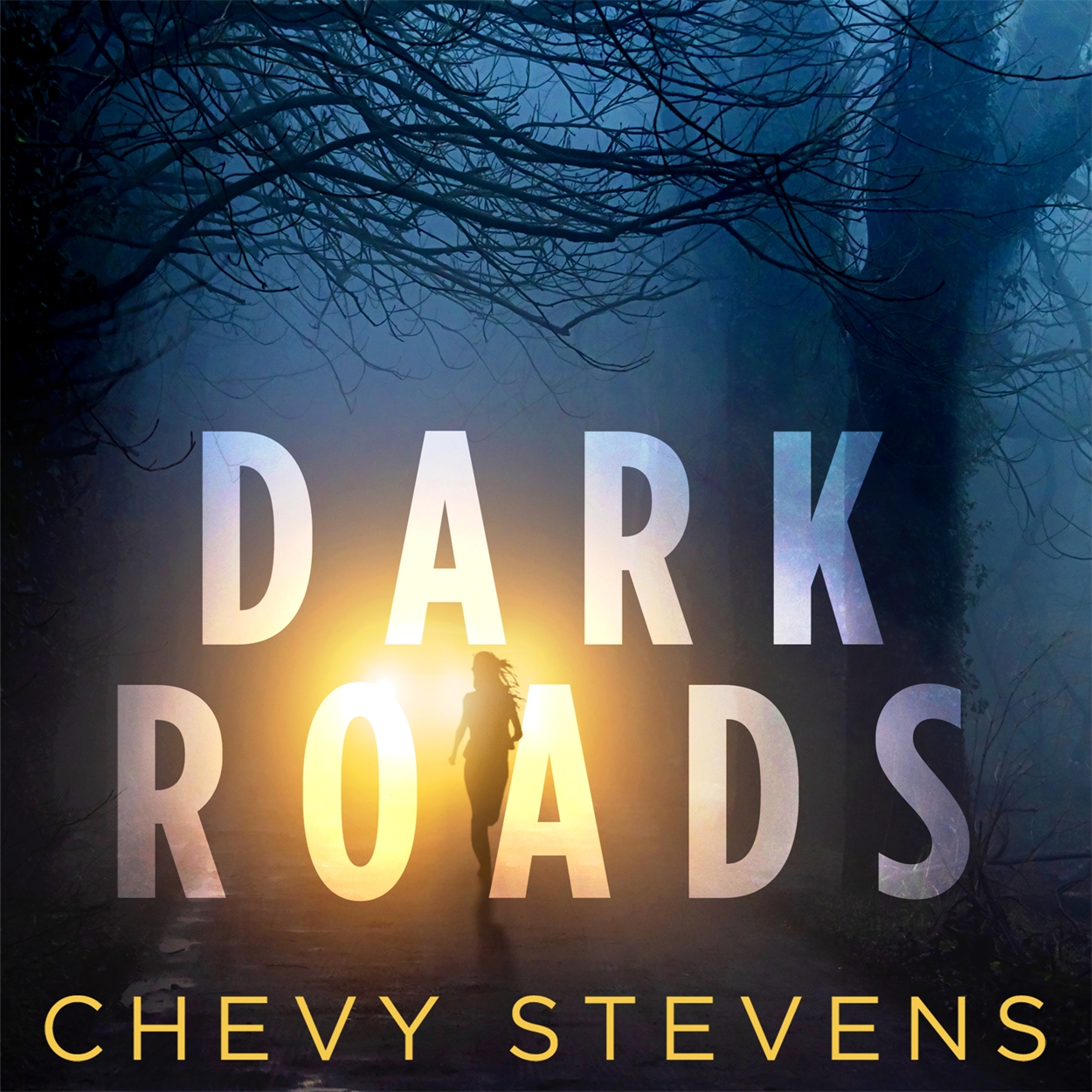 Dark Roads by Chevy Stevens | Hachette UK