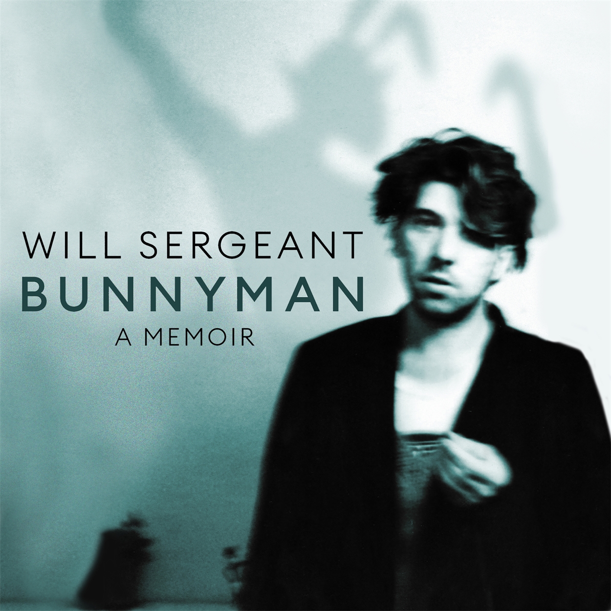 Bunnyman by Will Sergeant | Hachette UK