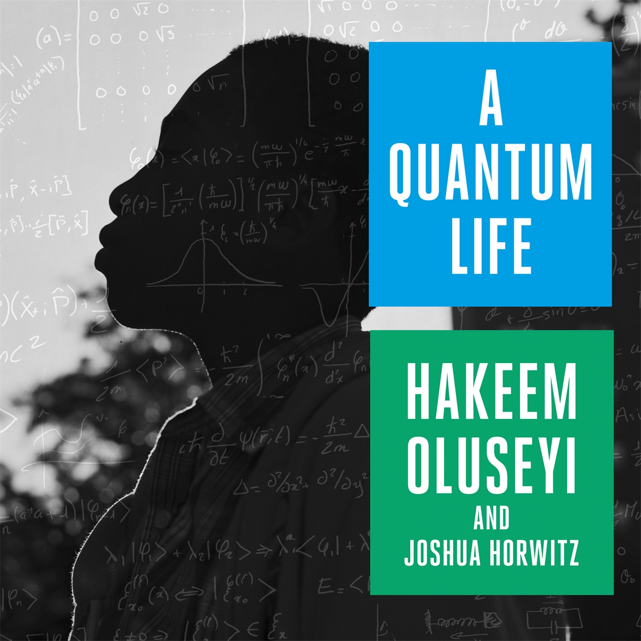 A Quantum Life by Hakeem Oluseyi | Hachette UK