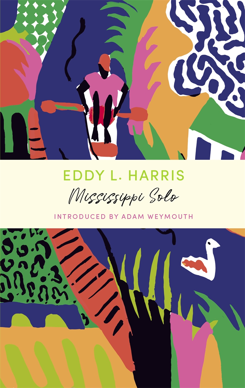 Mississippi Solo by Eddy L Harris | Hachette UK