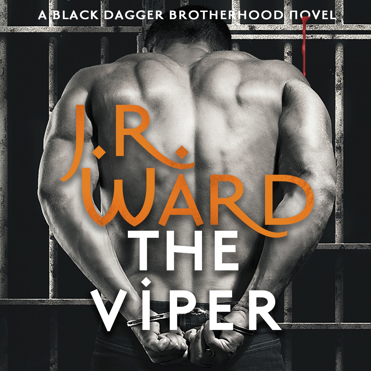 The Viper by J. R. Ward | Hachette UK