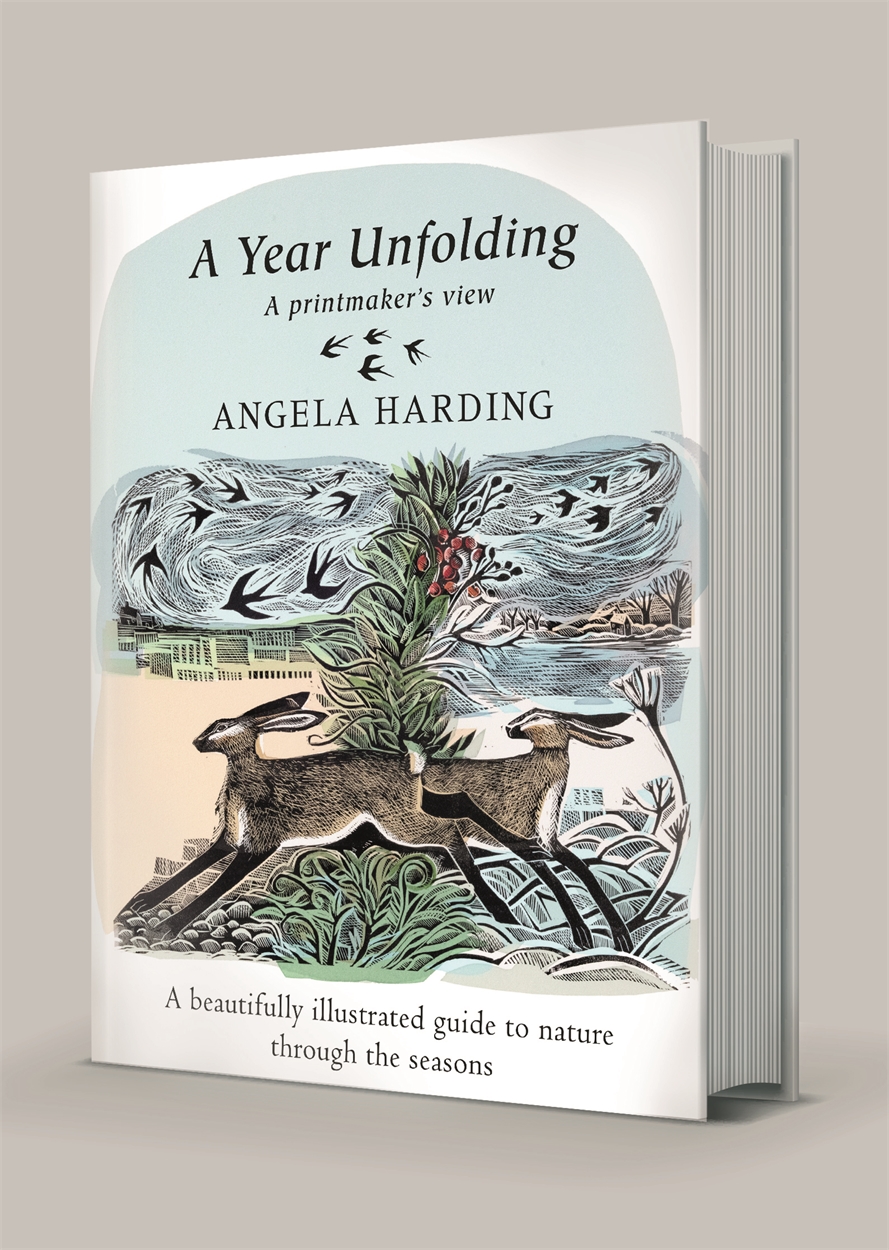 A Year Unfolding by Angela Harding | Hachette UK