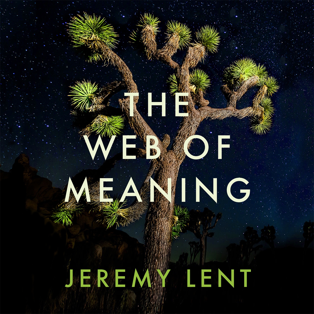 The Web of Meaning by Jeremy Lent | Hachette UK