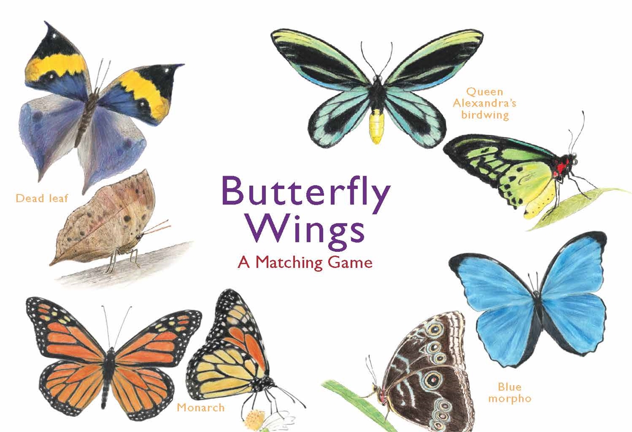 Butterfly Wings by Laurence King Publishing | Hachette UK