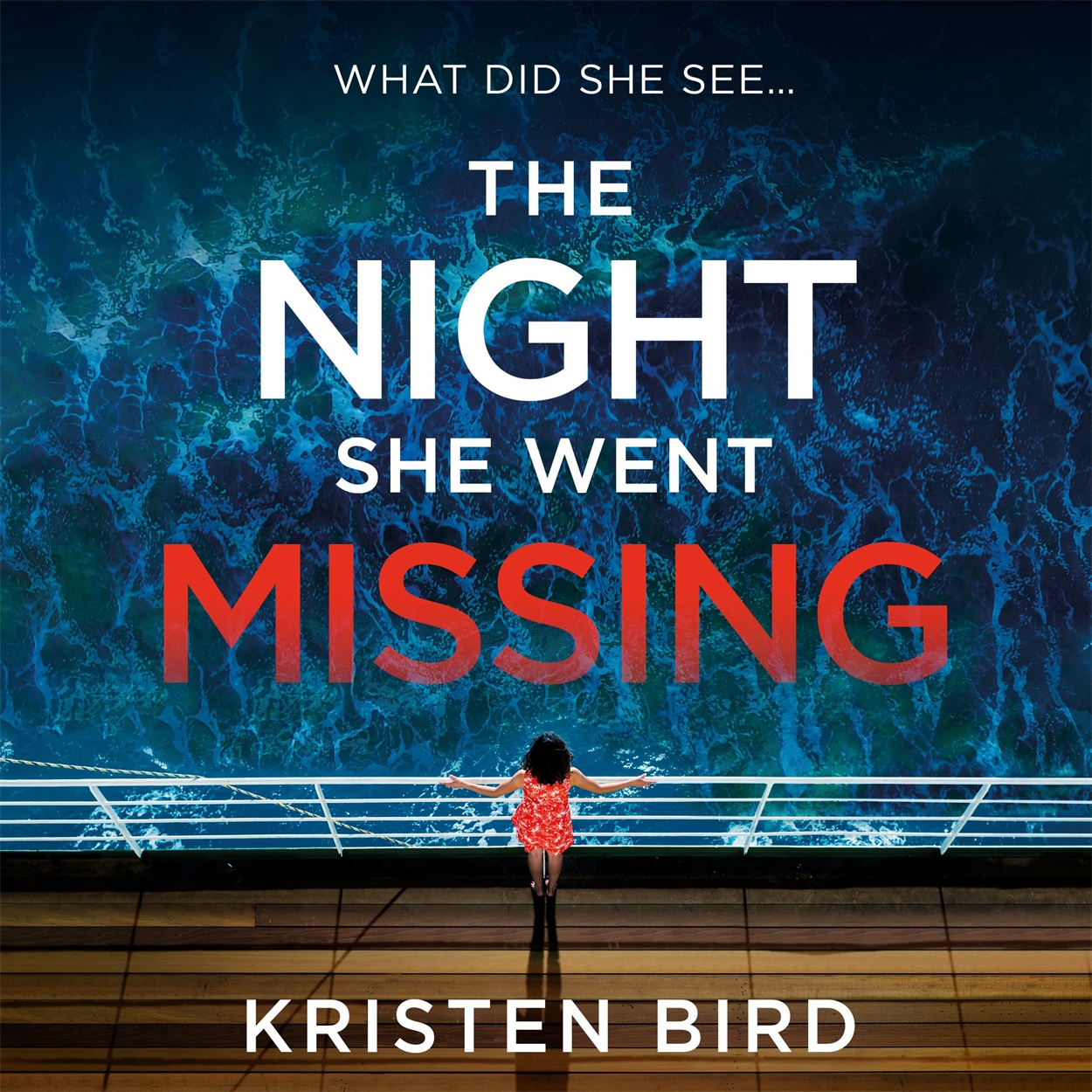 The Night She Went Missing by Megan Tusing | Hachette UK